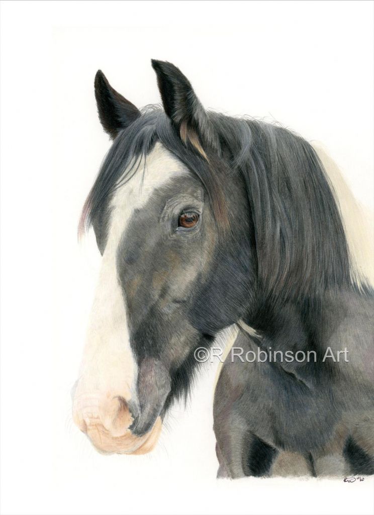 Home Page - R Robinson Art