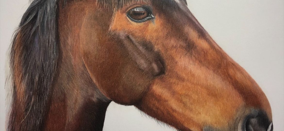 Home Page - R Robinson Art