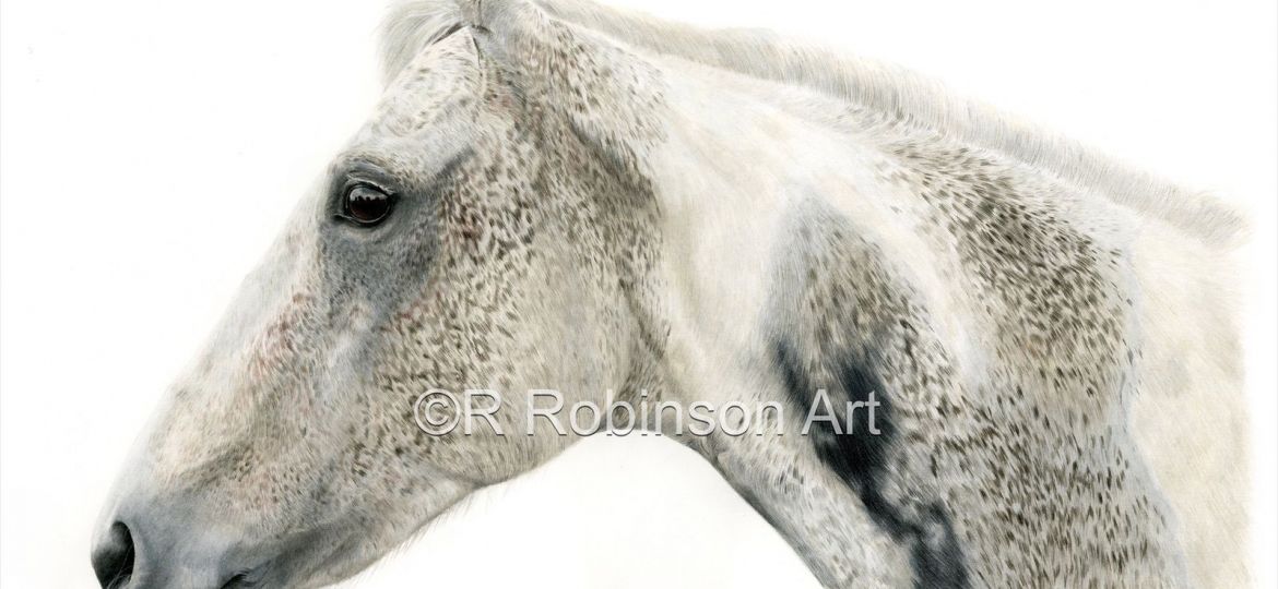 Home Page - R Robinson Art