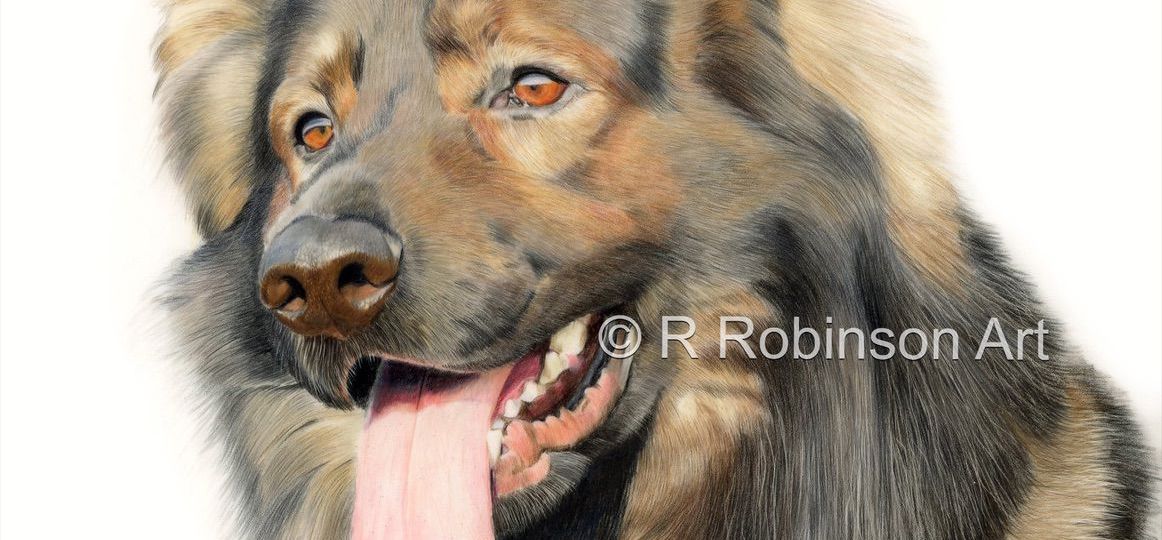 Home Page - R Robinson Art